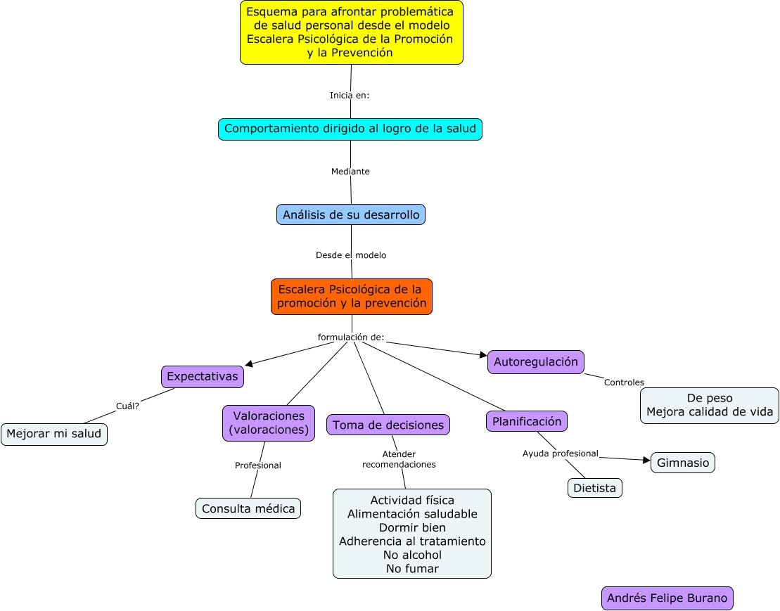 Esquema afrontamiento problemática salud - Cuál es el esquema para afrontar problemática de ...